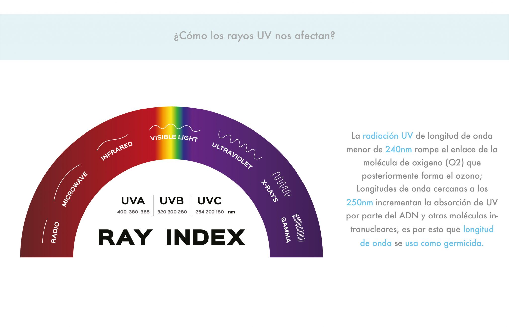 ¿Cómo los rayos UV nos afectan? - Germiled