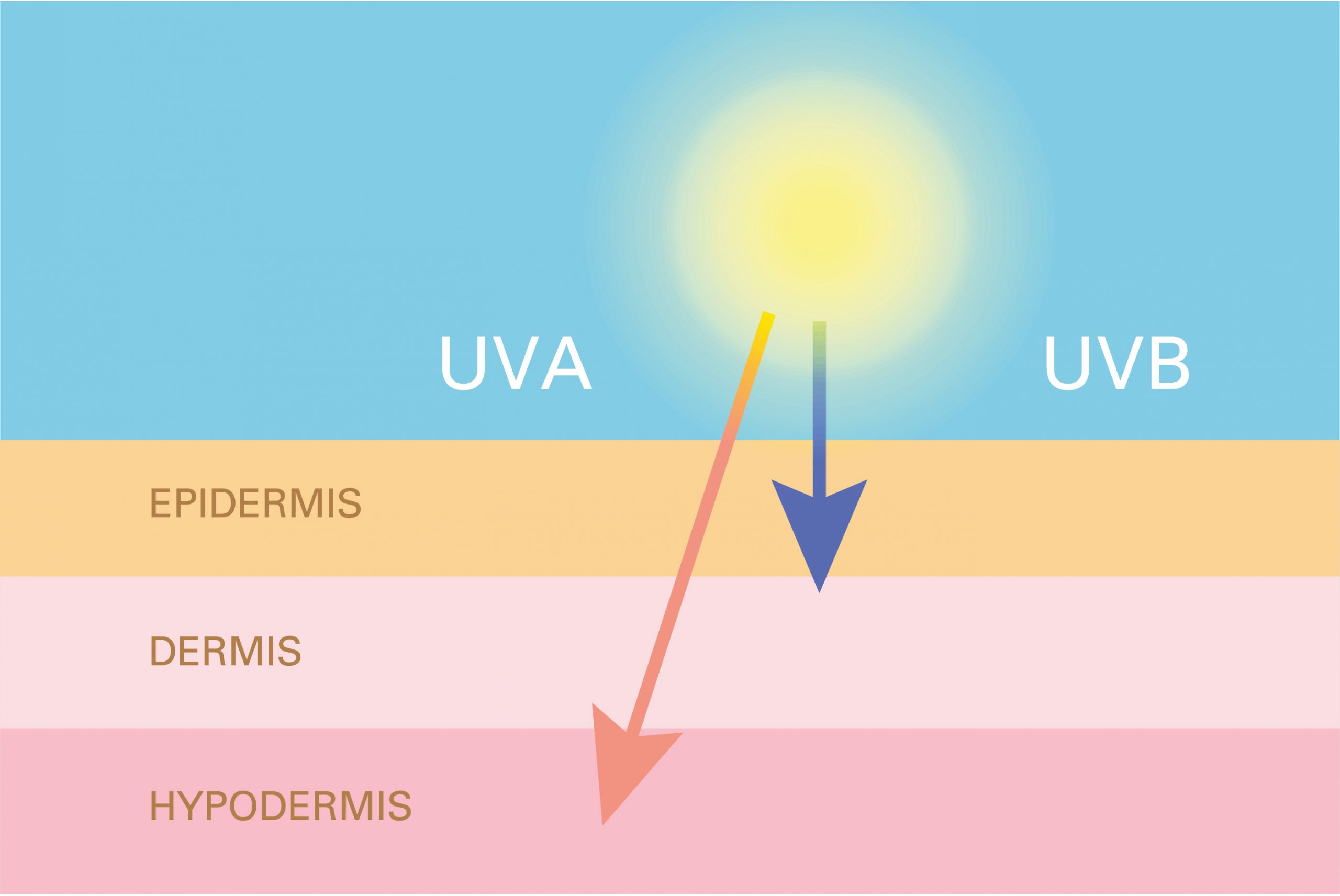 What are the effects of UV radiation? - Germiled