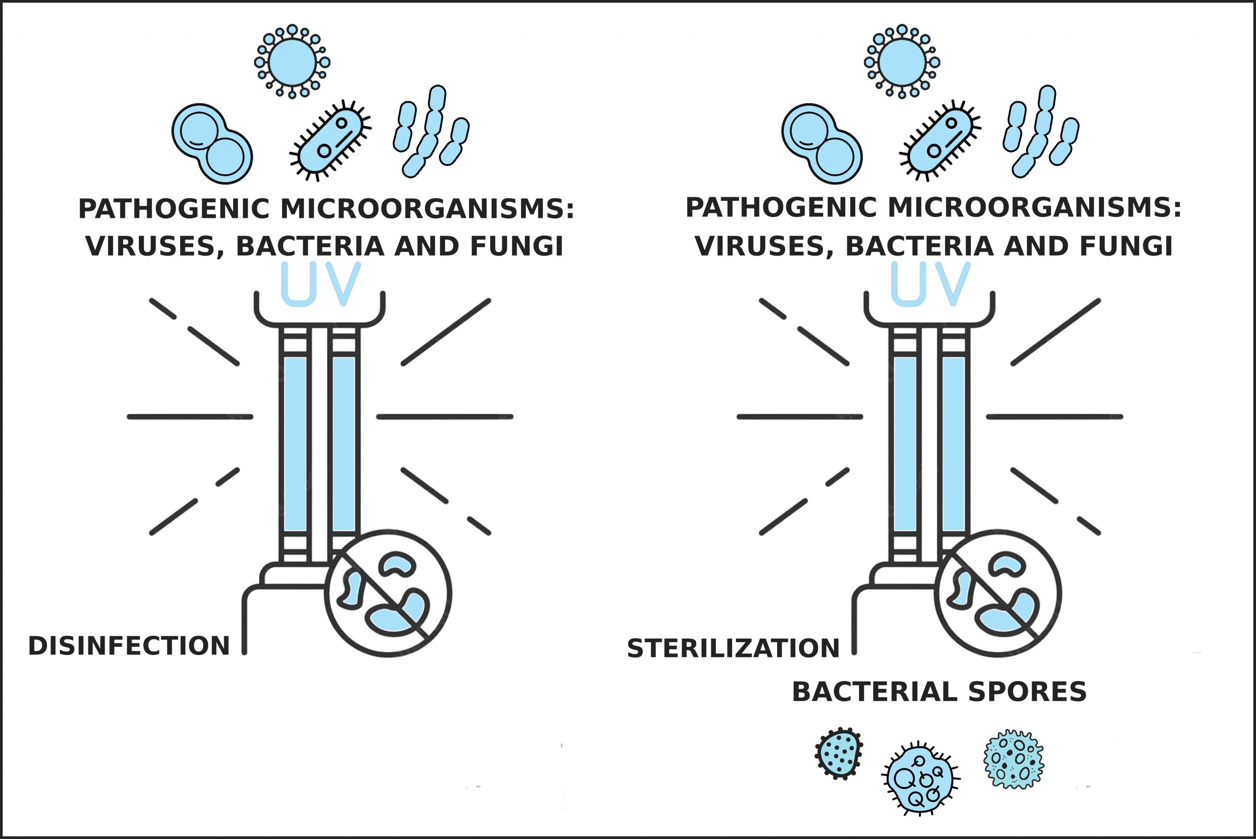 Did You Know The Difference Between Disinfection And Sterilization